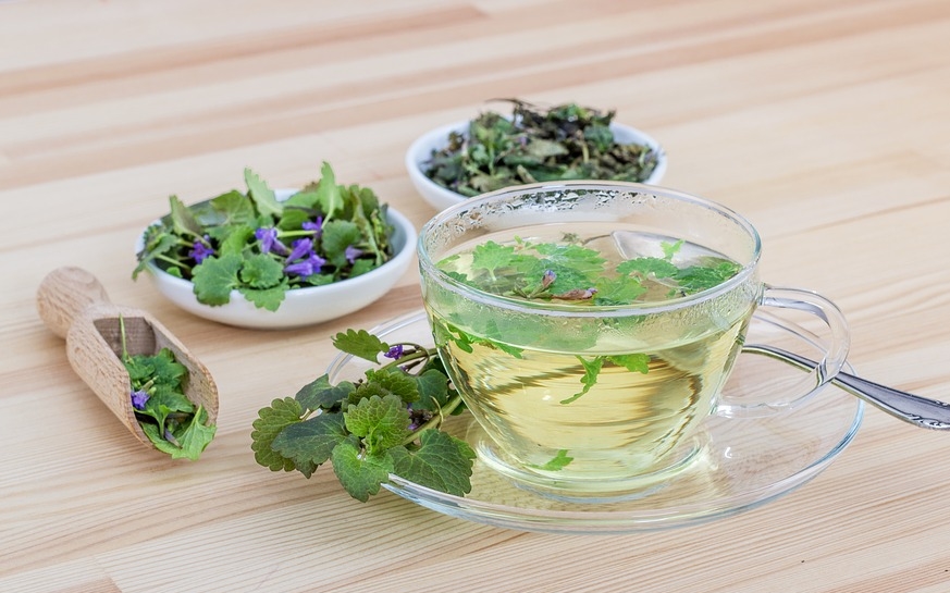 Ziołolecznictwo - rodzaje leczniczych preparatów ziołowych - Polkiweb.pl